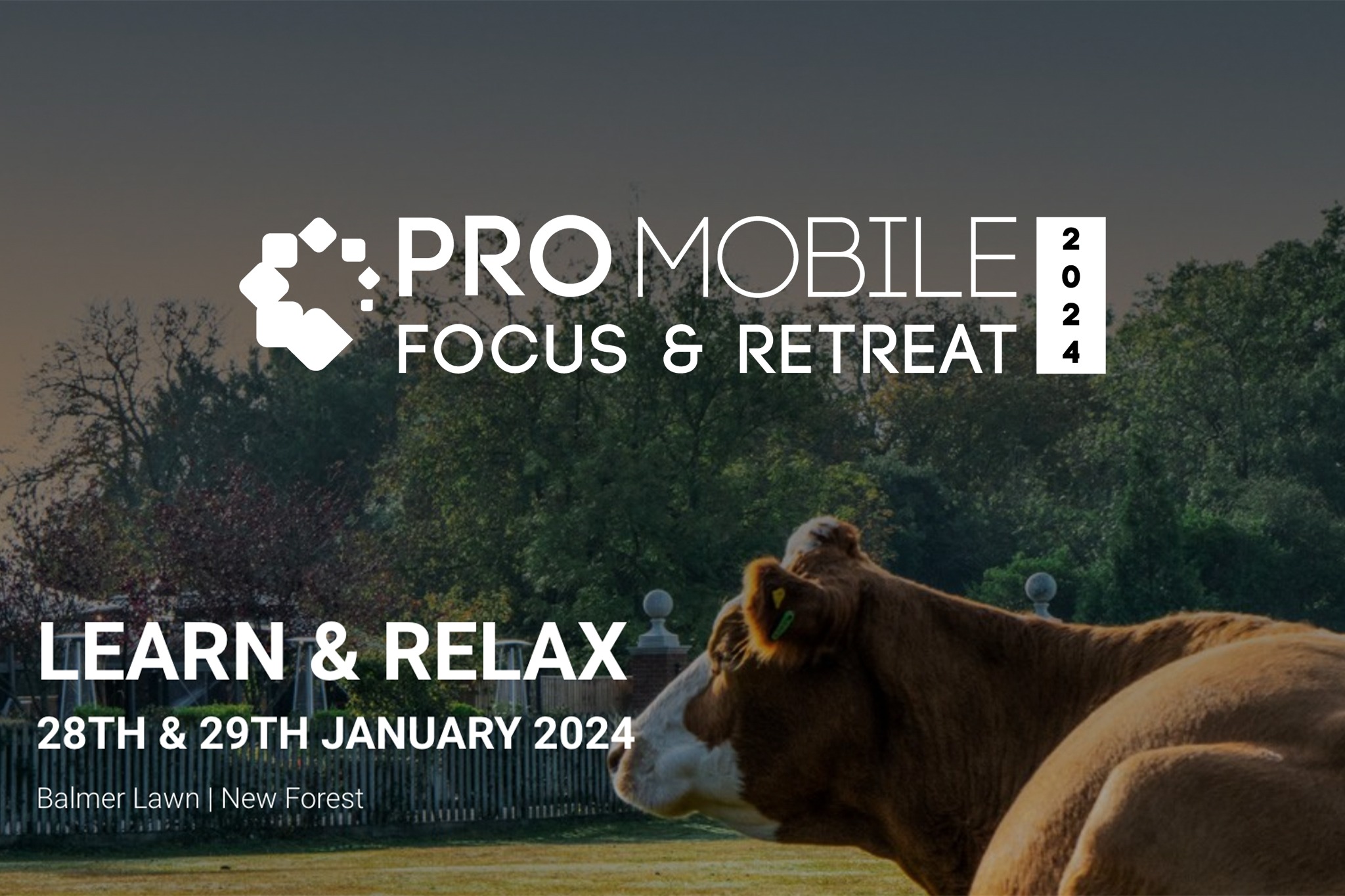 Home - ProMobile Retreat